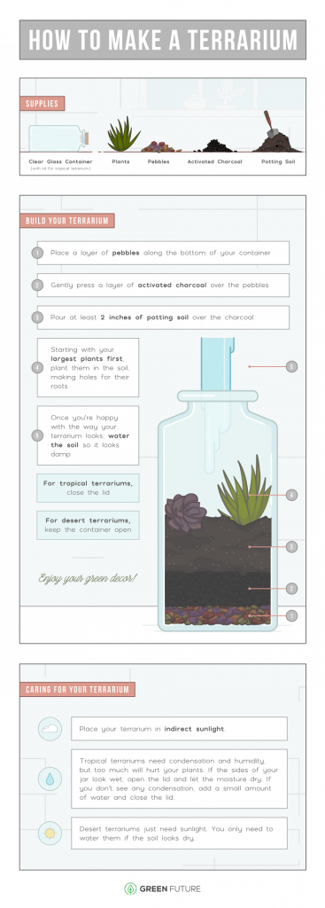 How to make a terrarium at home with these easy steps. - Free patterns ...