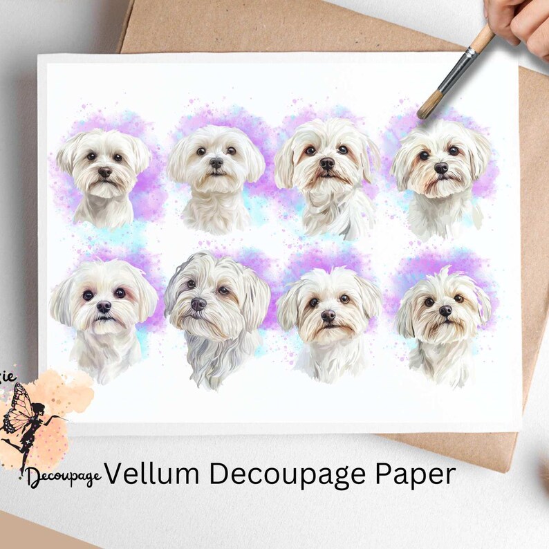 Maltese Collage 1, Vellum Decoupage Paper - DIY Crush