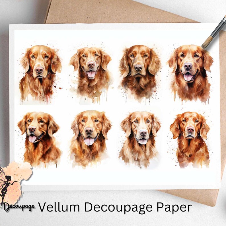 Red Golden Retriever Collage 1, Vellum Decoupage Paper - DIY Crush