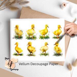 Baby Duckling 1, One Sheet Decoupage Paper - DIY Crush