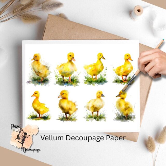 Baby Duckling 1, One Sheet Decoupage Paper - DIY Crush