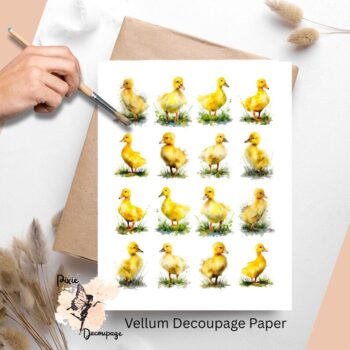 Baby Duckling 2, One Sheet Decoupage Paper - DIY Crush